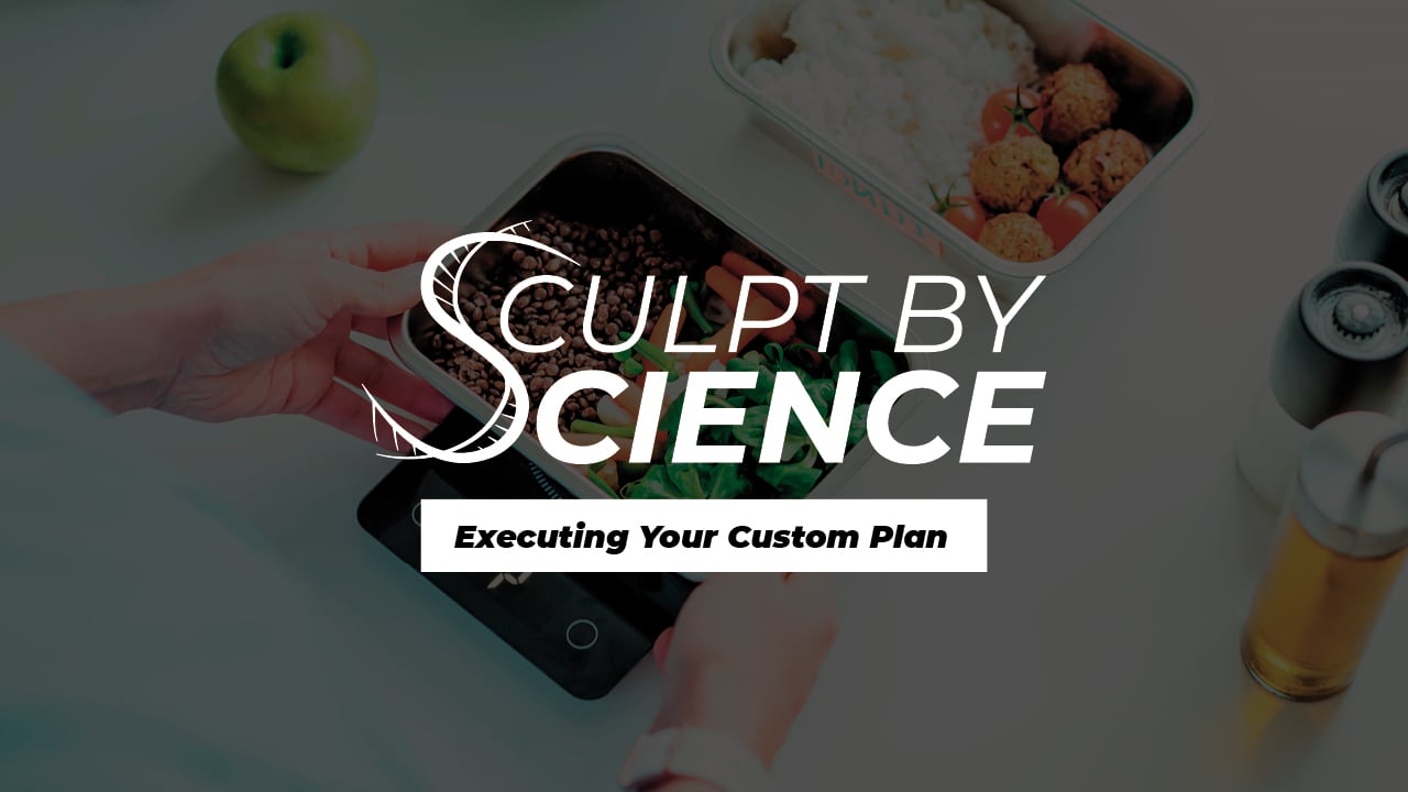 Executing Your Custom Meal Plan - Nutrition & Setting Up Your Diet ...