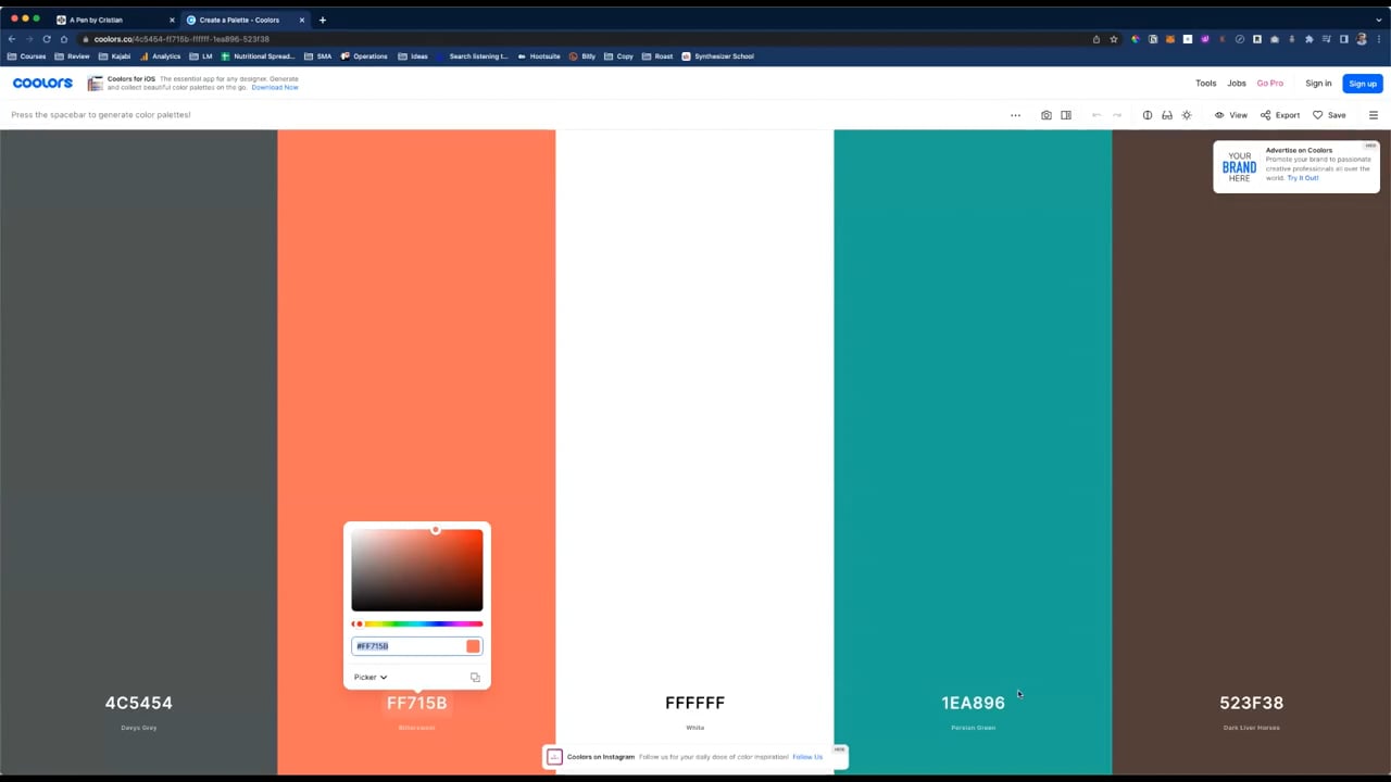 Position Absolute And Position Relative Html And Css Fundamentals · Developer Pro 