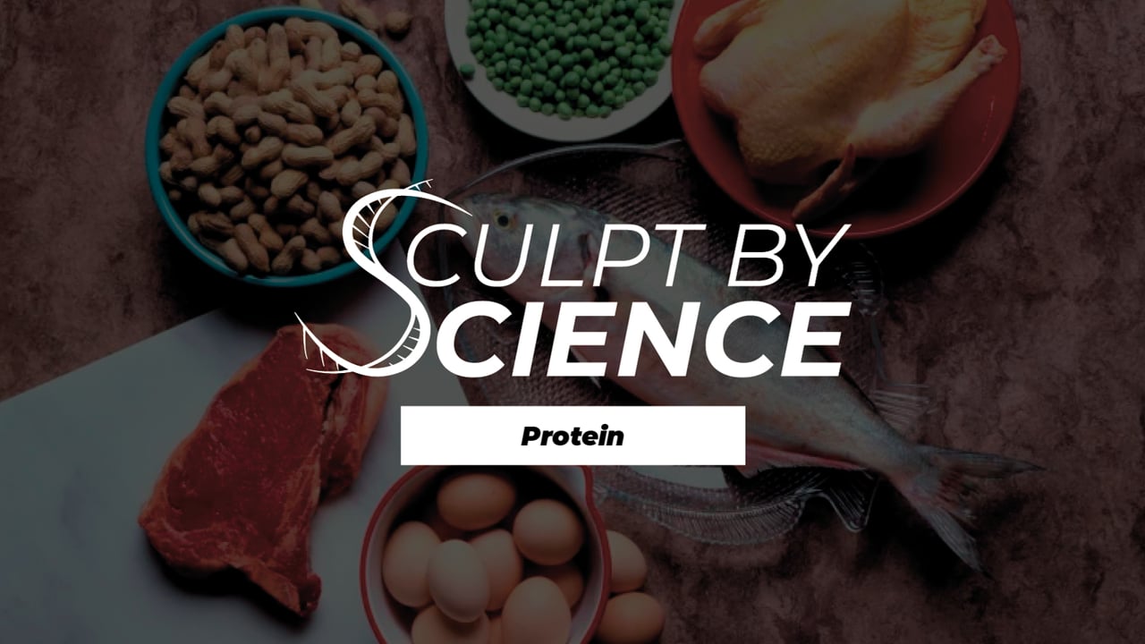 Protein 101 - Nutrition & Setting Up Your Diet · SculptByScience.com