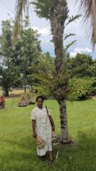 Tinah Stalindrea Tina