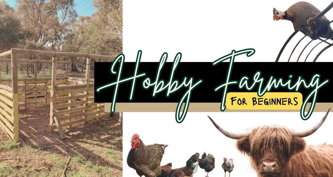 Hobby Farming for Beginners