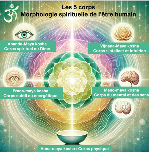 Les 5 corps de l'être humain · Espace AMEO