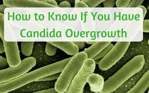 Candida & Parasites · Mohr Natural