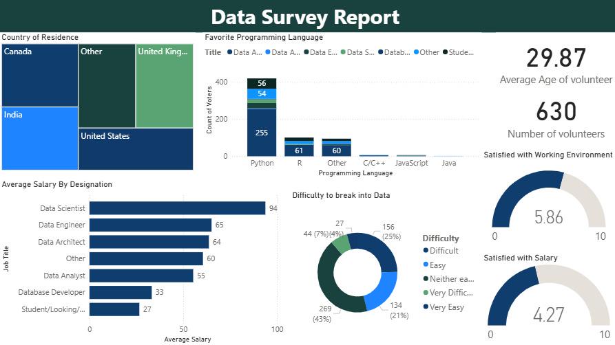 Data Analytics Project 10 : Power BI Data Survey Report · Make $1k-$10k ...