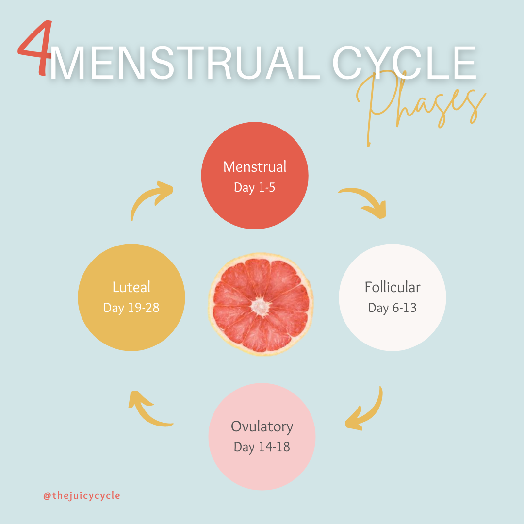 The 4 Menstrual Cycle Phases · Juicy Cycle