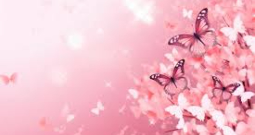 The Butterfly Effect