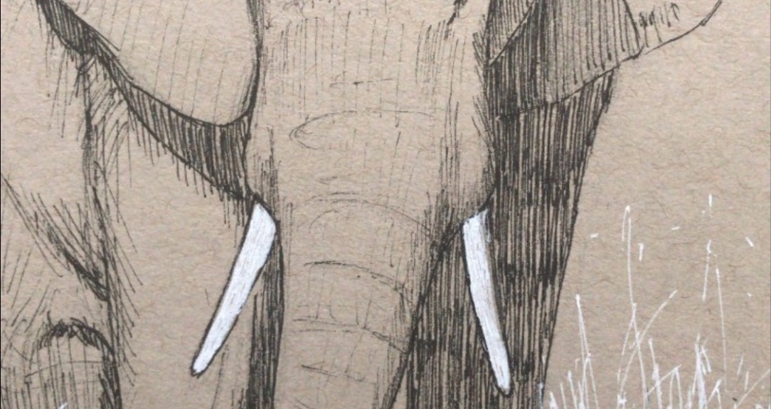 Schaefer Art Academy