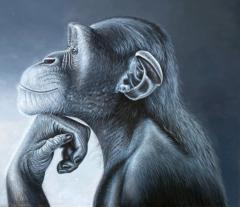 Stoic Monkey