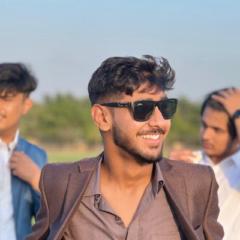 Haider Ali Bajwa
