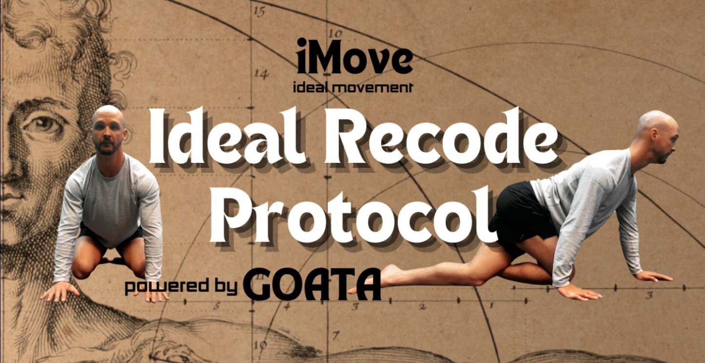 Intro to Level 8-10: Unilateral Exercises - Ideal Recode Protocol ...