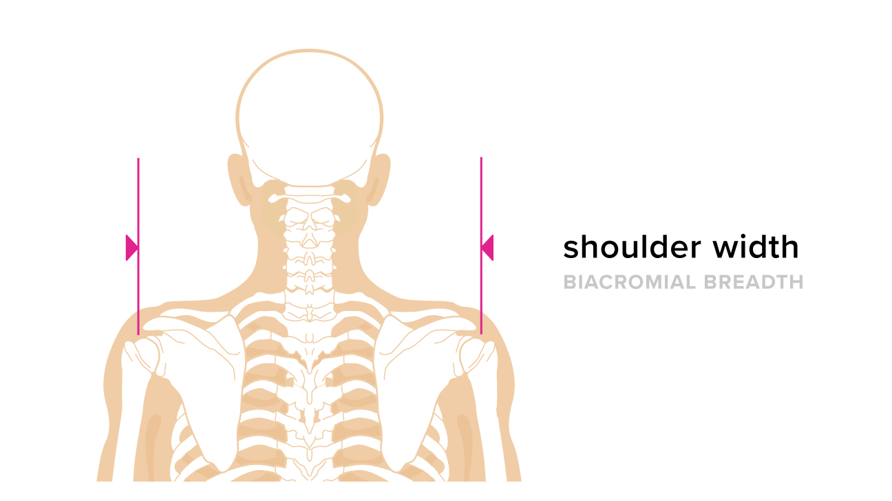 how wide are your clavicles roger · The Honored Few