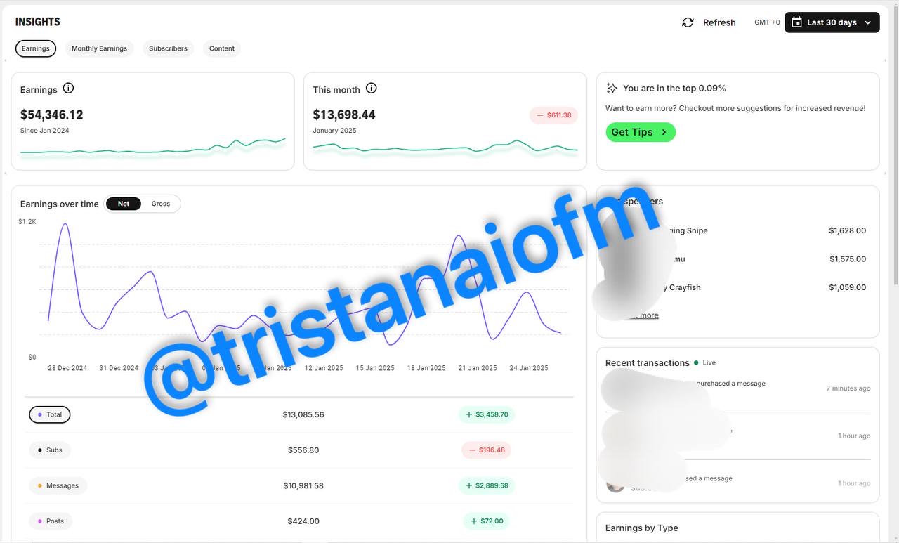 Modelify Academy Starter(Free)