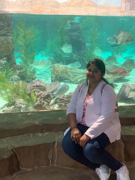 Shilpa Abhishek Shetti