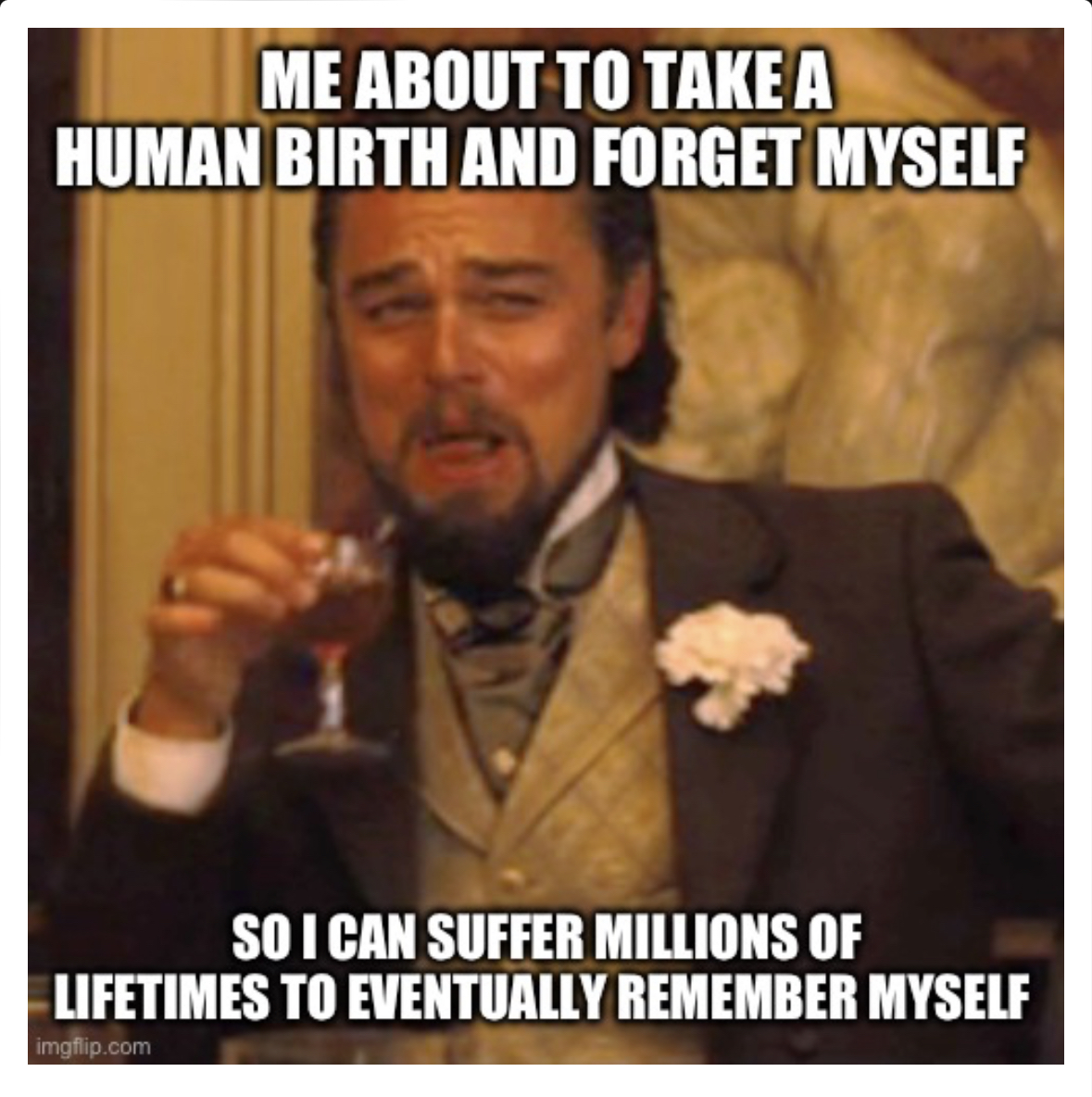 Memes anyone? · LTC Ashram