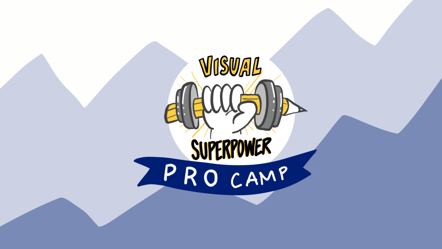 🎓 Visual PRO Camp