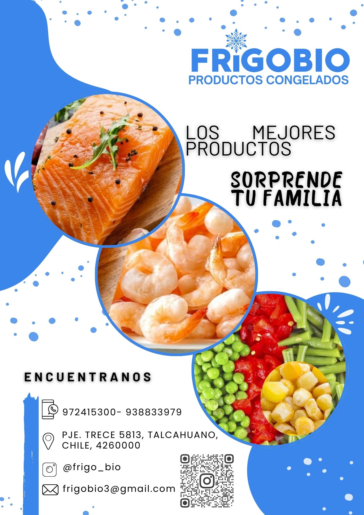 Flyer productos congelados · Kreavix Start | Design Academy
