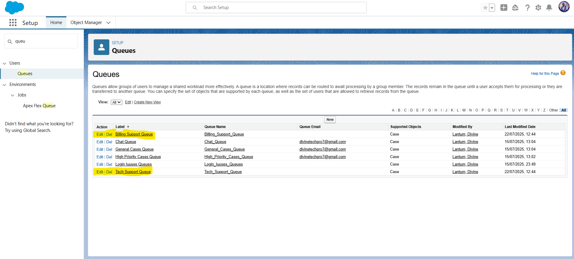 Auto-Assign Case Owner Based on Case Type (Record Triggered Flow ...