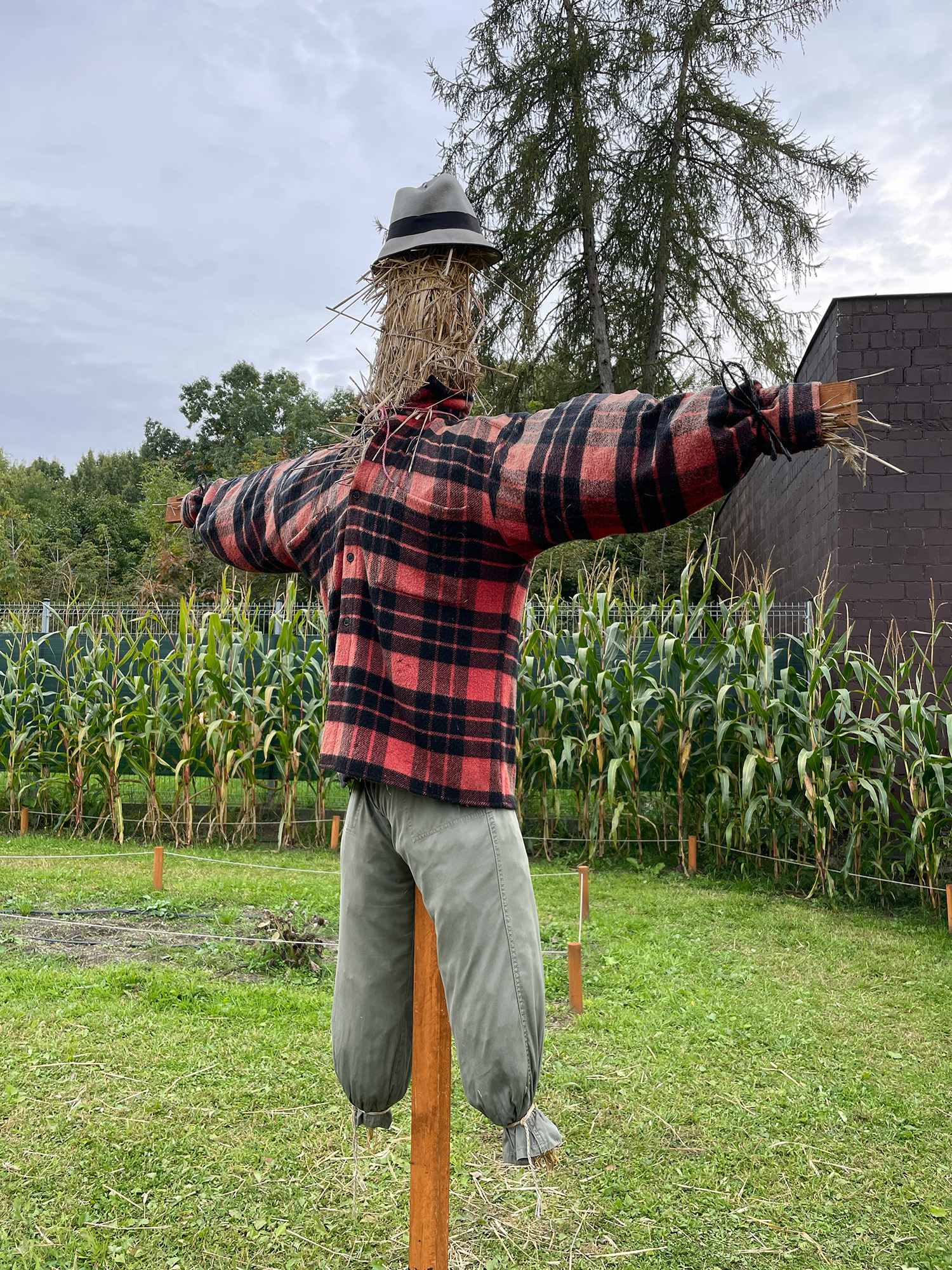 Build A Scarecrow Day · The Potted Garden Society