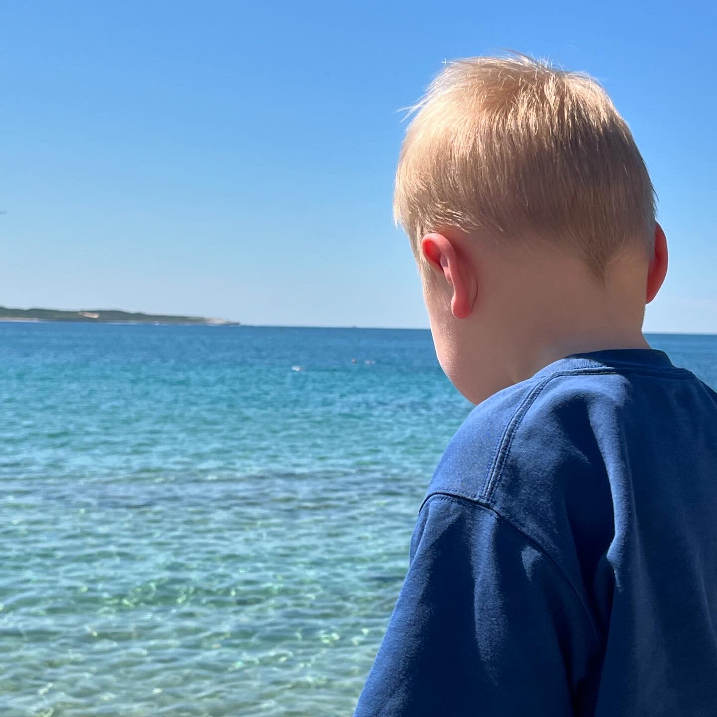 Sydney Beaches in Spring. · Small Entourage