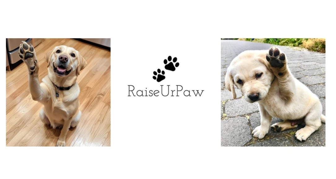 Raise Ur Paw