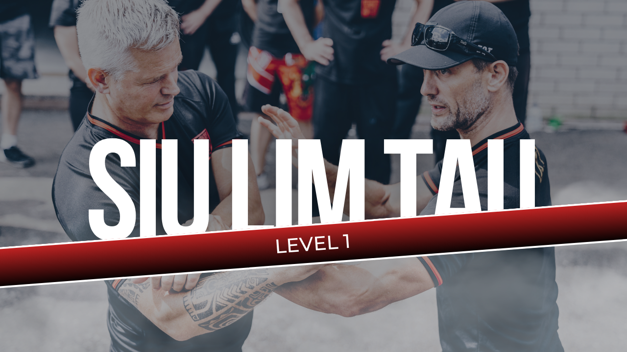 [Access Granted] Siu Lim Tau Course (LITE) 🔓 unlocked · Smarter Fighter ...