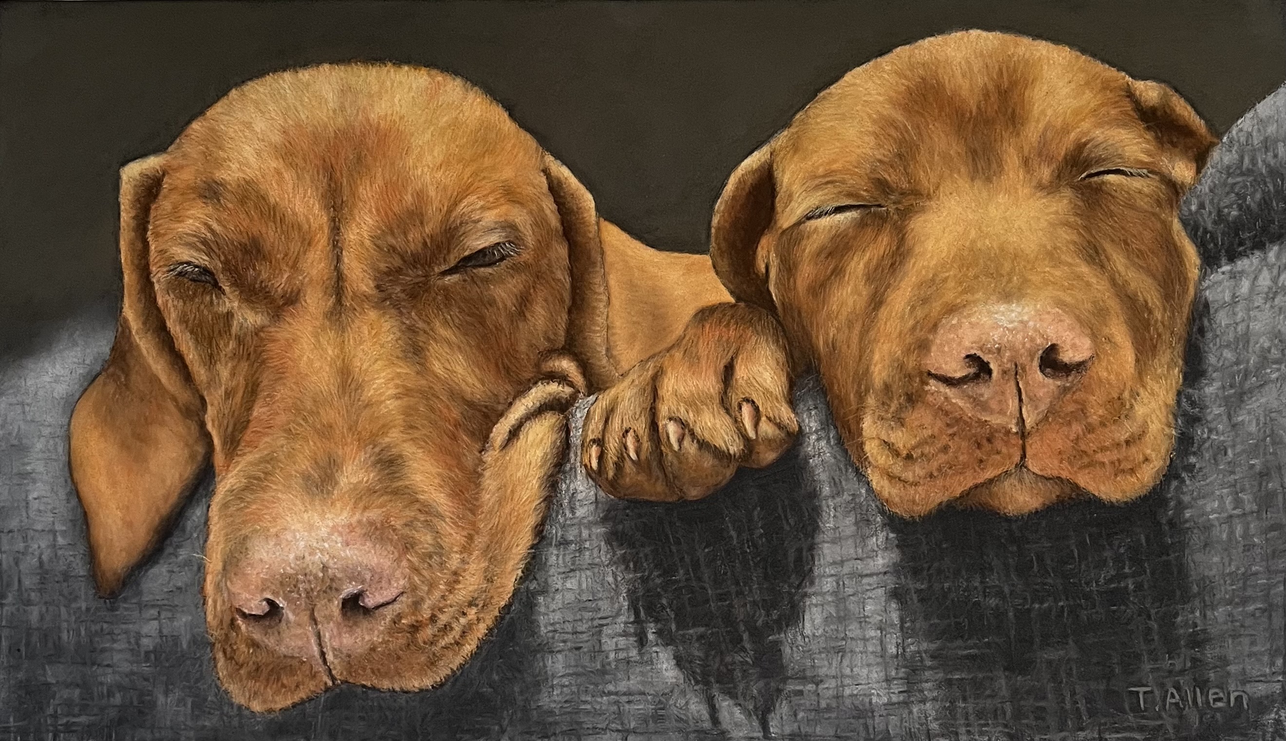 Time for a Snooze · Art Money Success