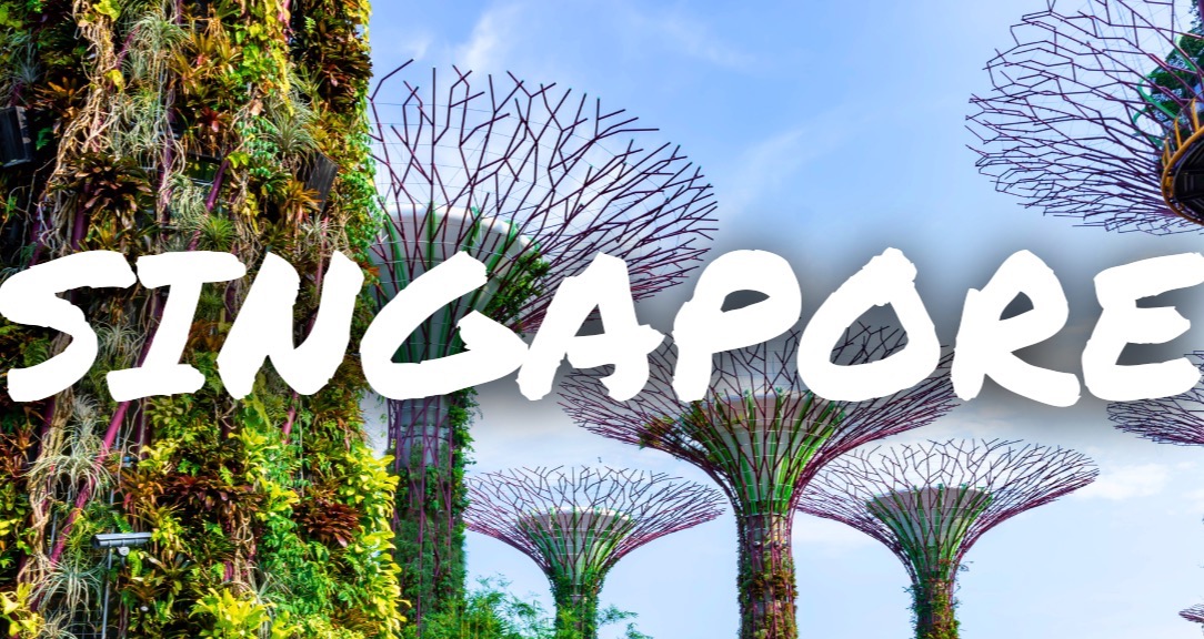 Classroom · 🇸🇬 Skool IRL: Singapore