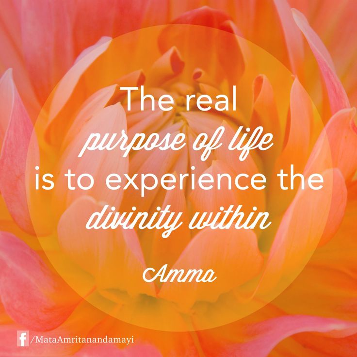 for the Love of...Declarations + Poems + Quotes · 5th Dimensional Reiki