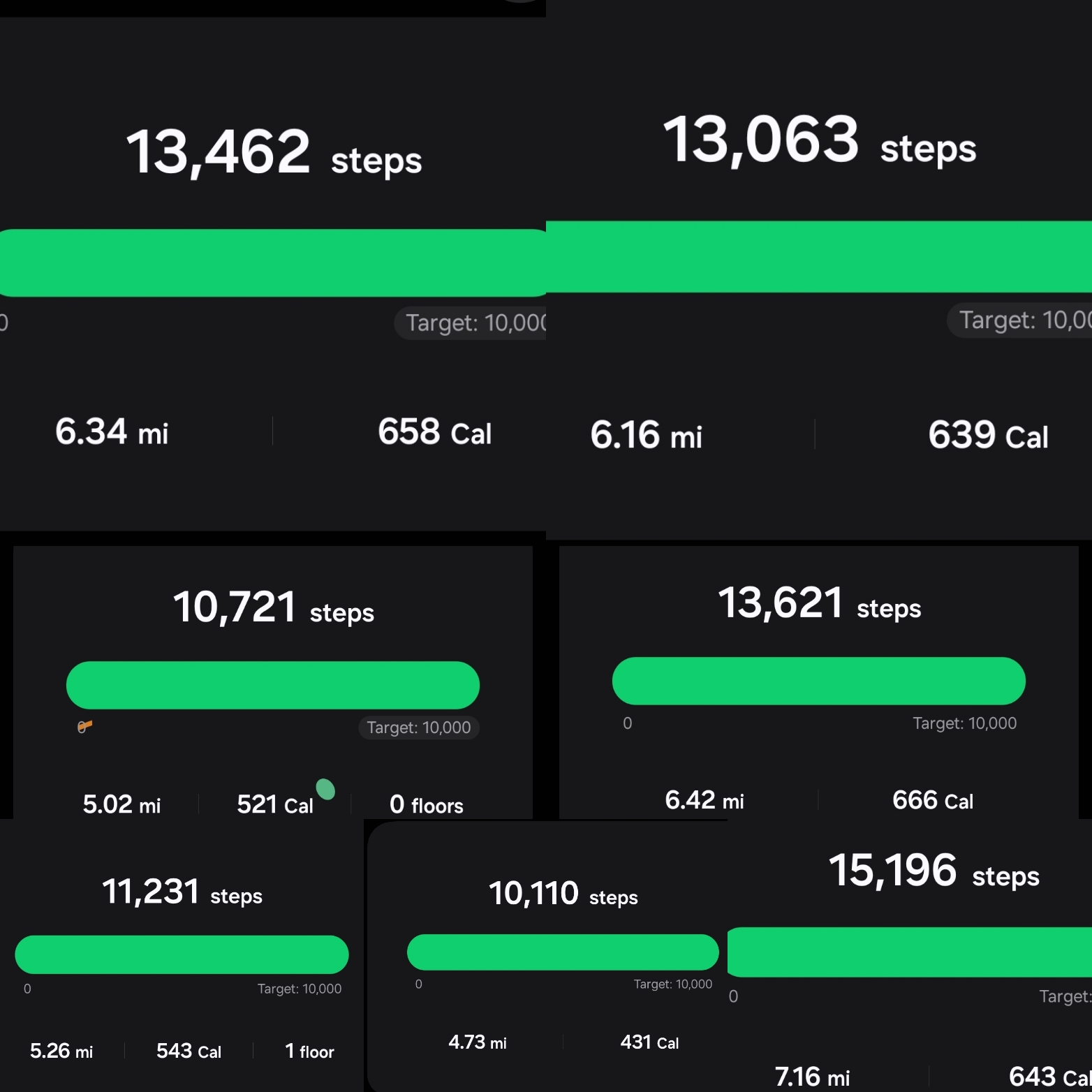 Haven't been posting these the last week but 10k steps are getting done ...