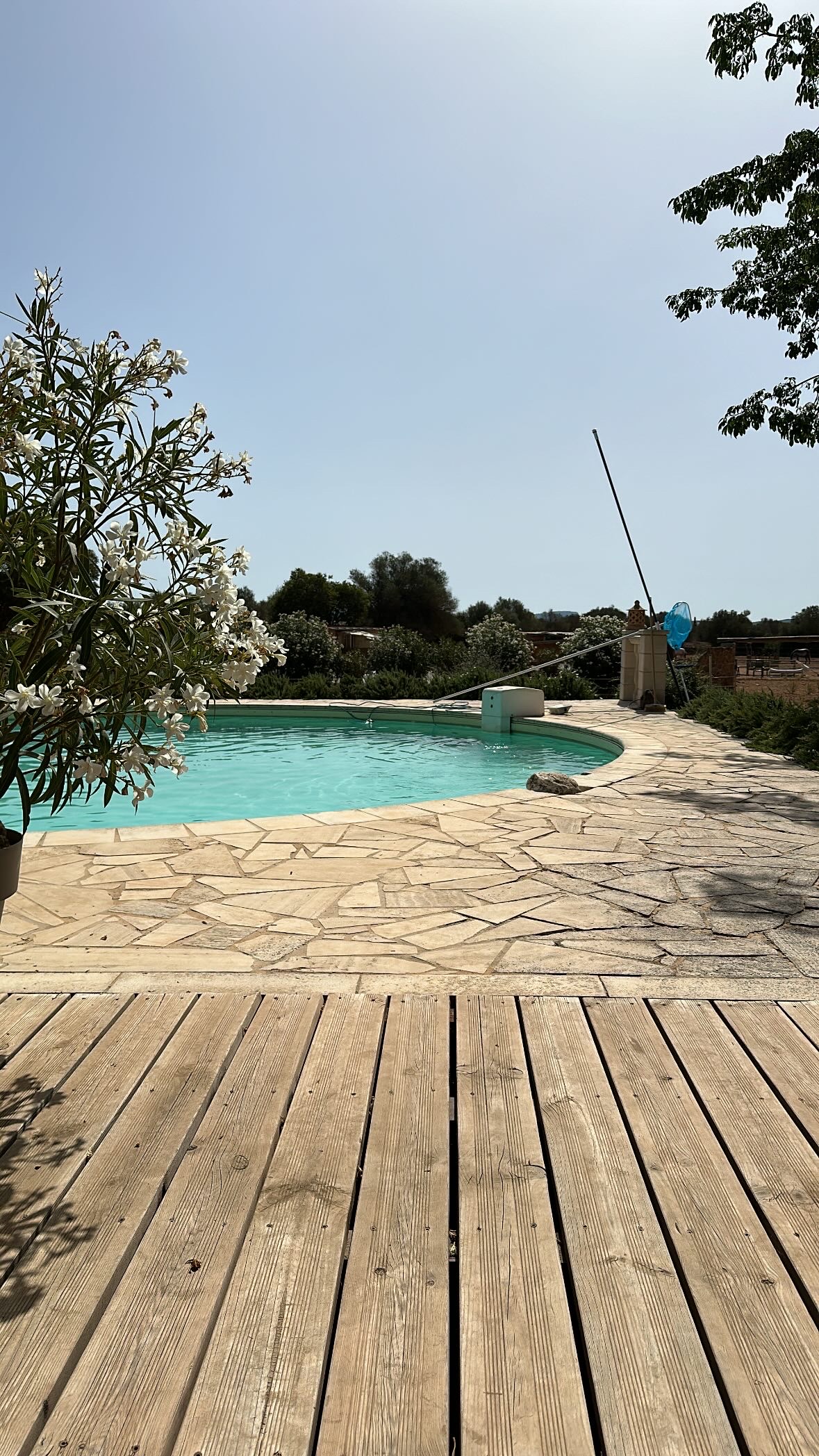 Meine Routine (mittlerweile) · Prestige Club - Free