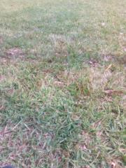 Samuel Herrera Antonio