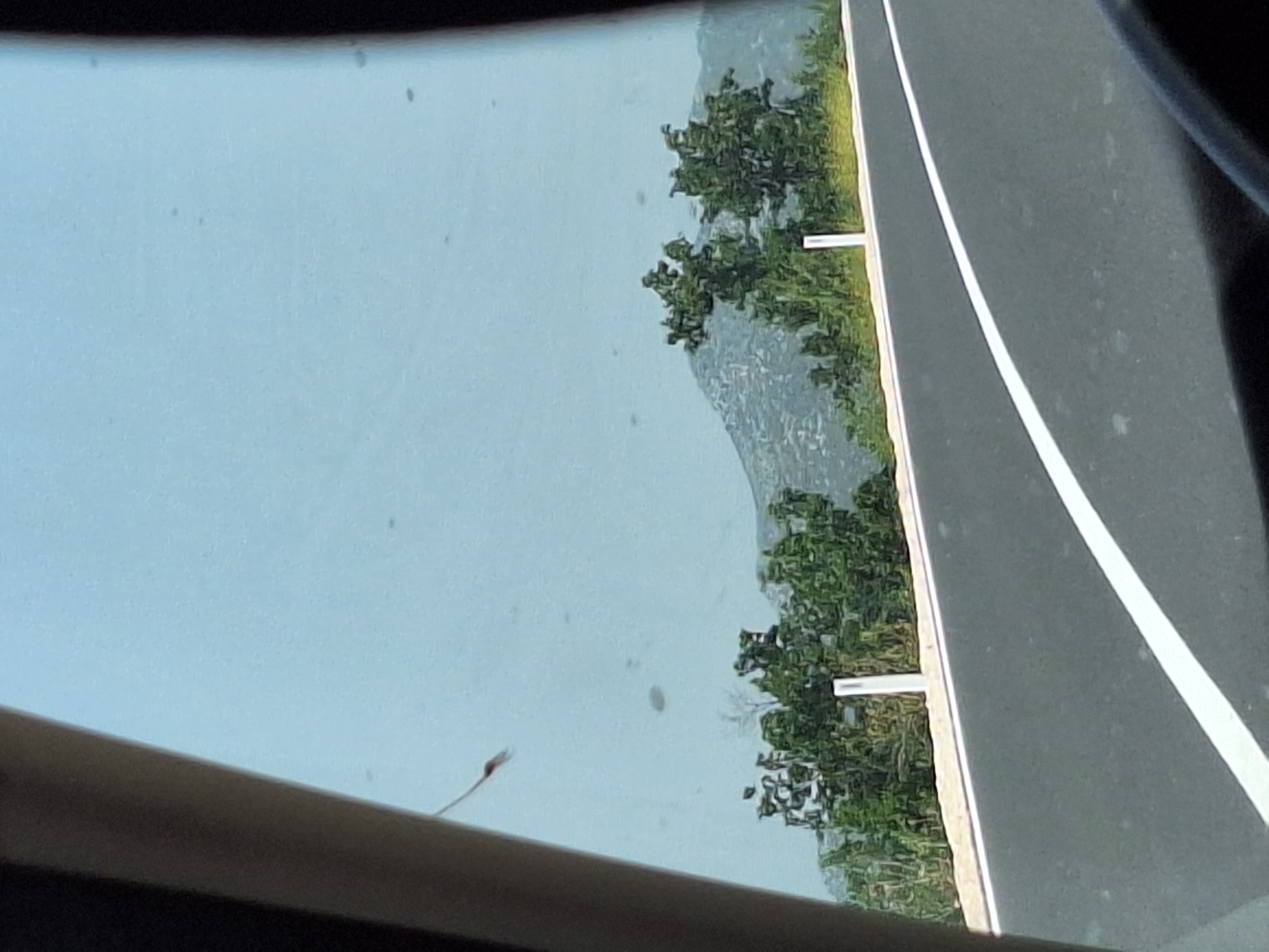 First step · Ballistic Animators