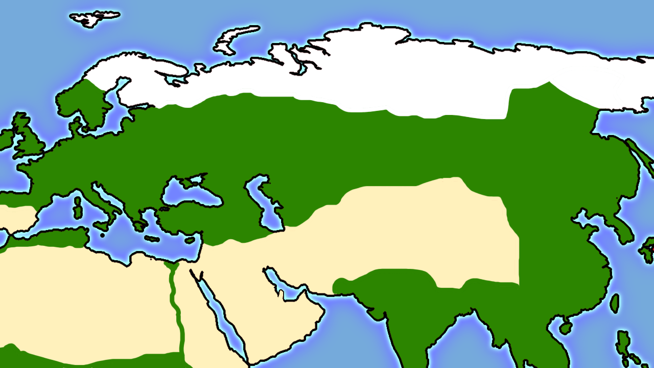 What do you think of my map? · Ballistic Animators