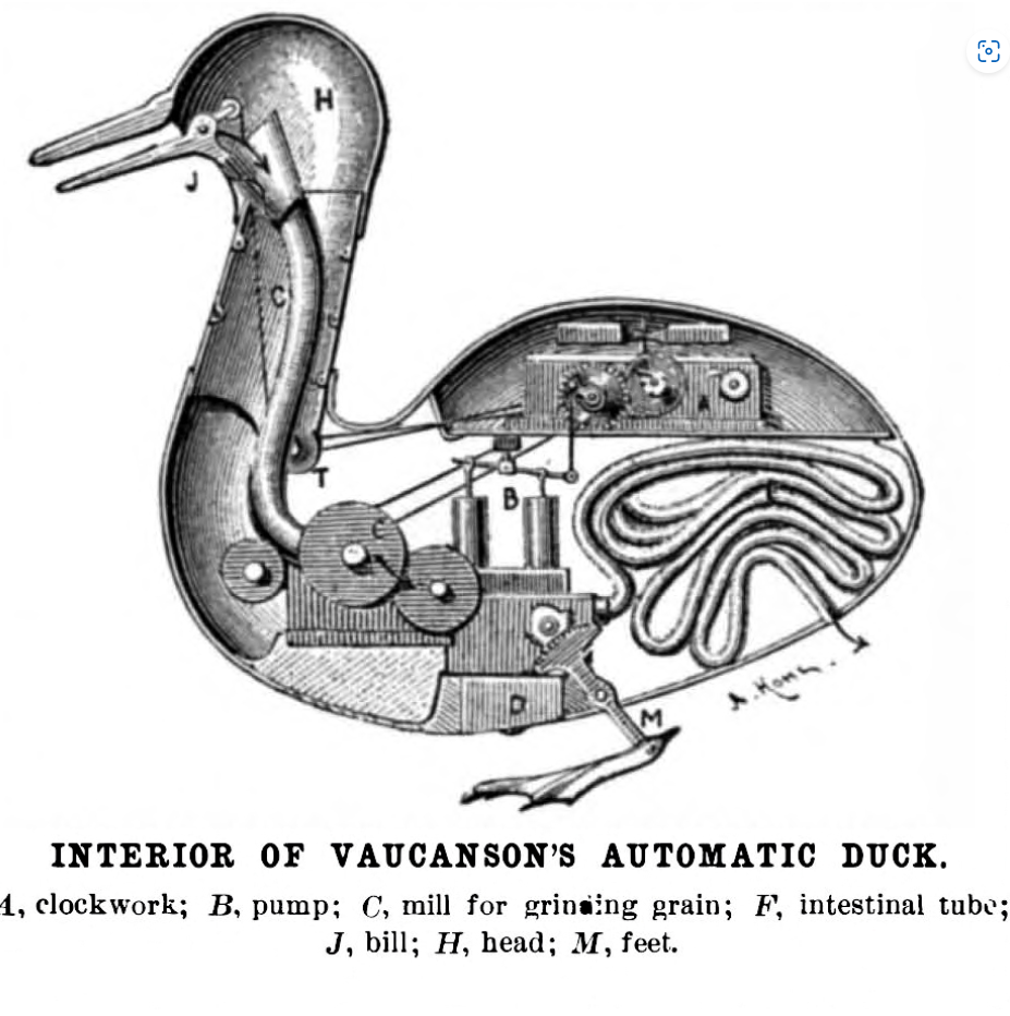 Nature Is Not A Machine! · Sustainability School