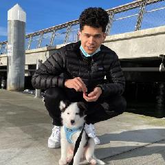 Hamilton Dog Training