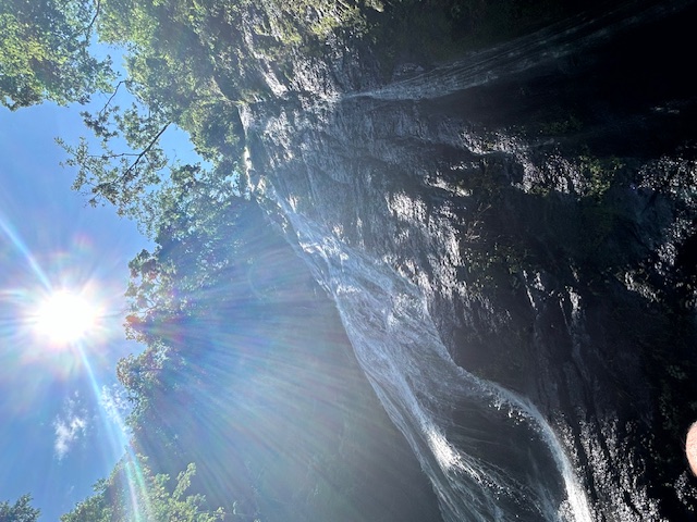 💎 Welcome! Please Introduce Yourself :) 💎 · SAGE Leaders