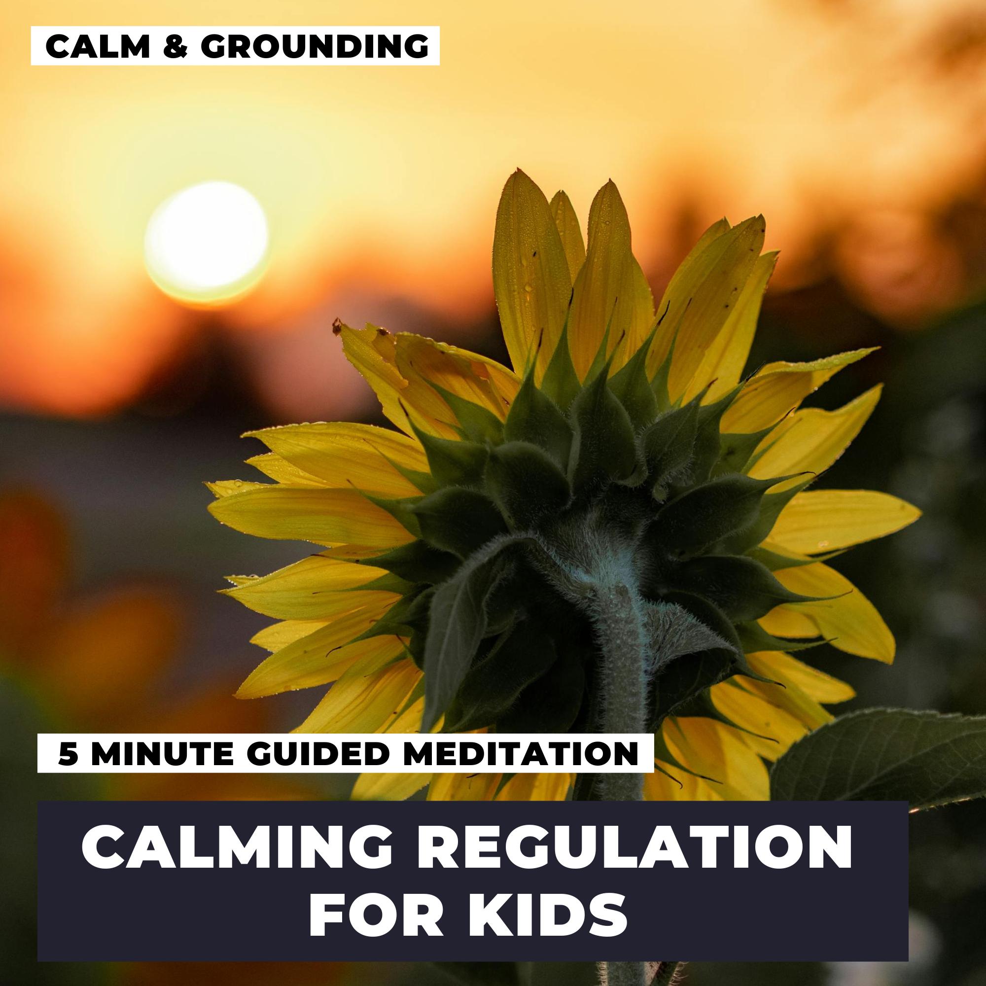 Calming Regulation For Kids - Guided Meditation · The Art Of Self ...