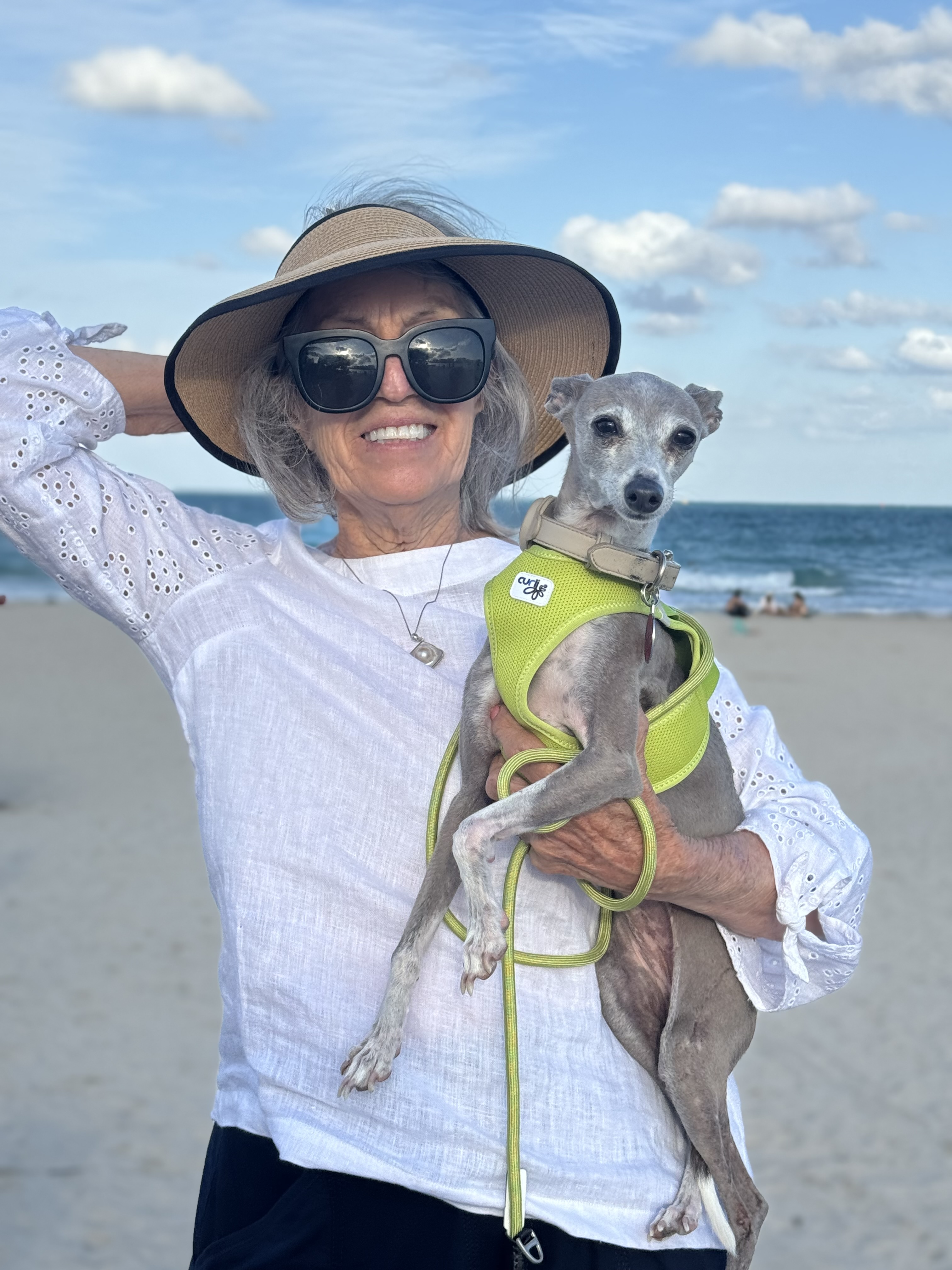 Winnie #minigreyhound 🐶 · Miami Real Estate