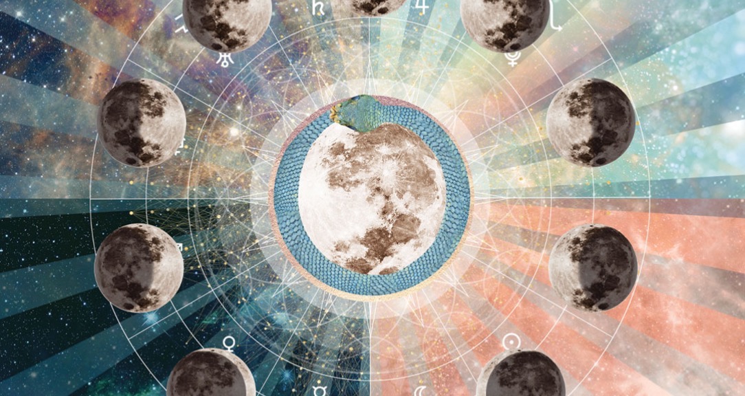 Stream Entry Institute