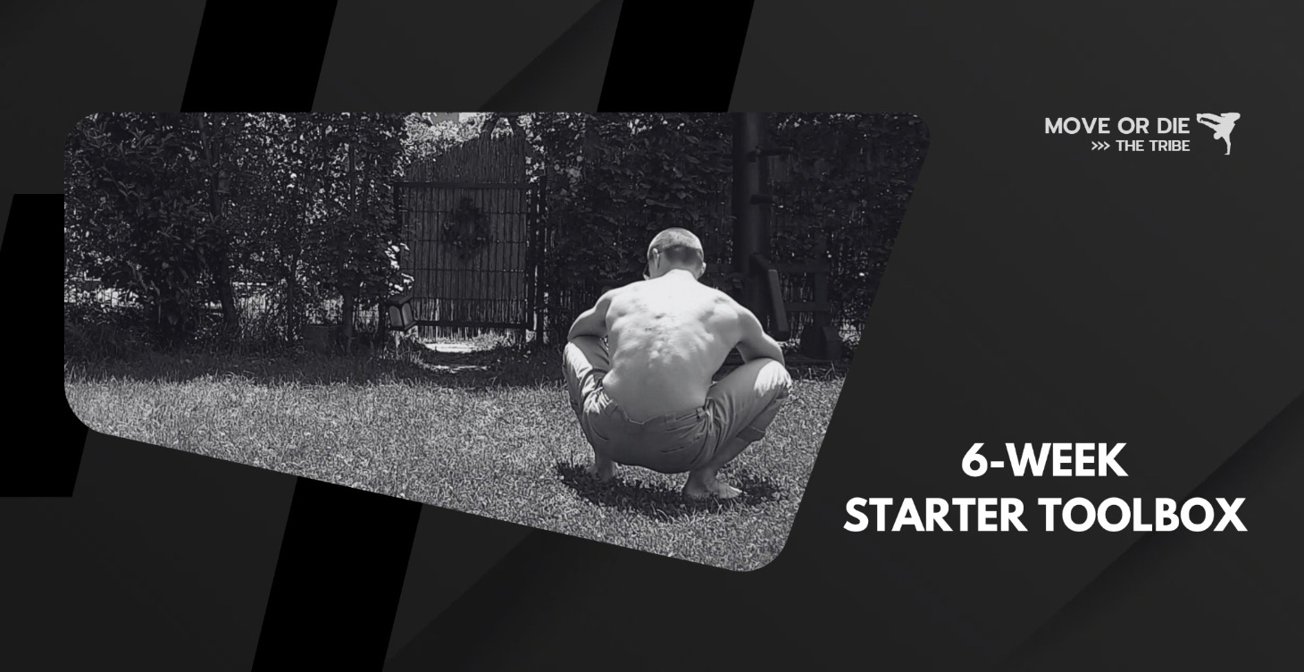 Standardized Practice Plan - 6-Week Starter Toolbox · Move or Die - The ...