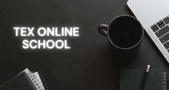 TEX ONLINE BUSINESS SCHOOL