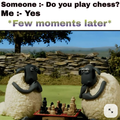 Daily memes · Top Chess Gang