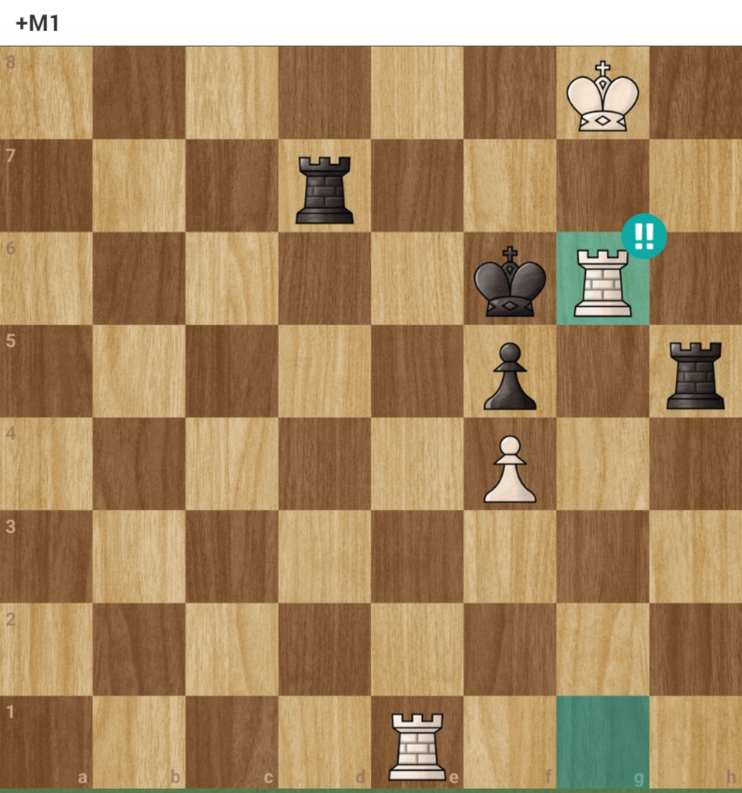 The Roooooook!! · Top Chess Gang