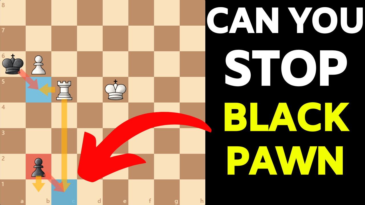 The hardest chess puzzle · Top Chess Gang