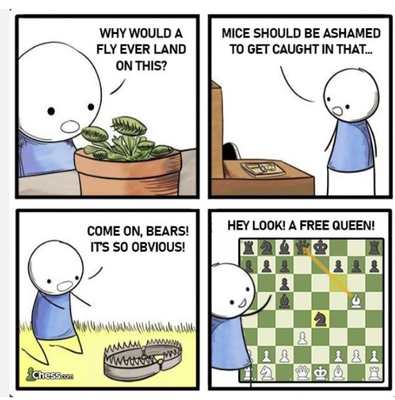 Chess memes · Top Chess Gang