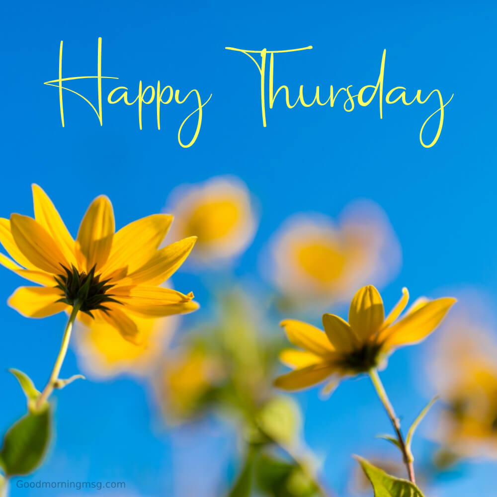 Why is Thursday Special? · Web3 Wealth Builders