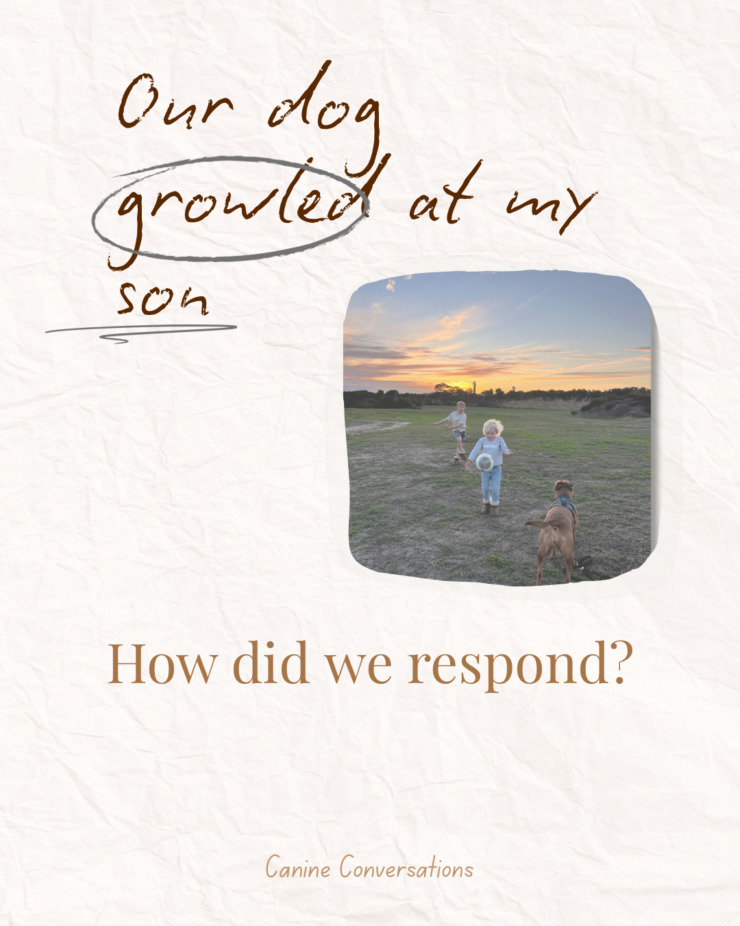 Growling and Child Safety · Canine Conversations 🐕🐾