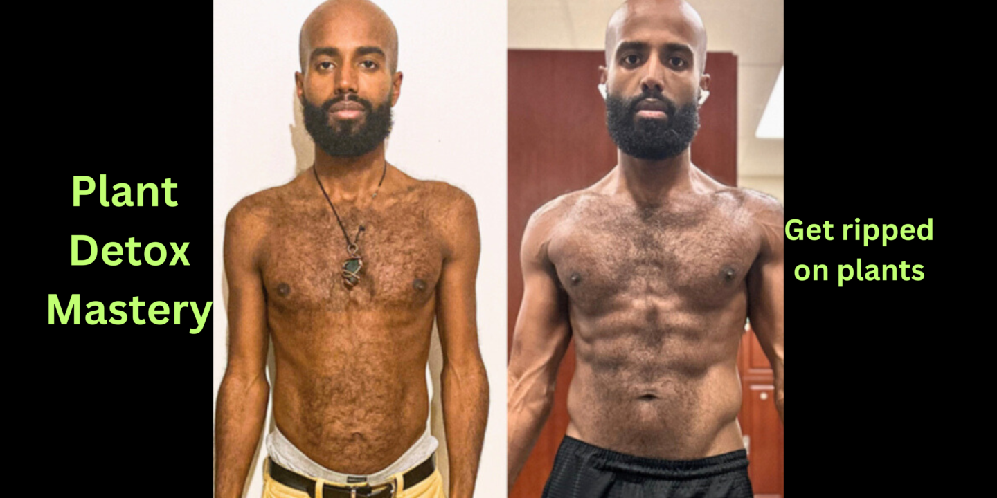 Plant Fitness Mastery