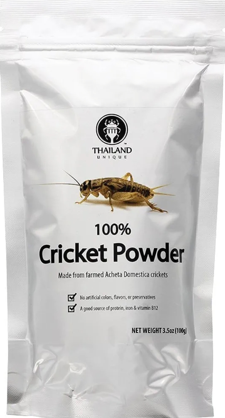 Insects as Protein & Medicine? Let’s Talk Entomotherapy · Mylera Wellness
