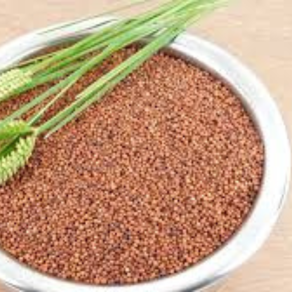 🌾 Ragi: The Resilient Grain That Builds Bones and Balance · Mylera Wellness